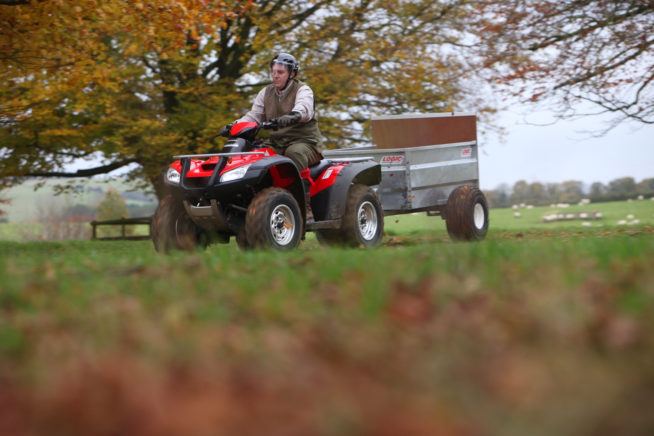 Honda TRX680 Rincon Utility ATV - Colwyn Bay ATV